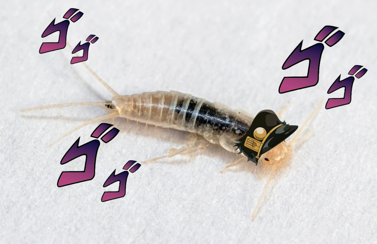 You Will Never Escape the Silverfish ft. L. Ron Hubbard – The Nugget